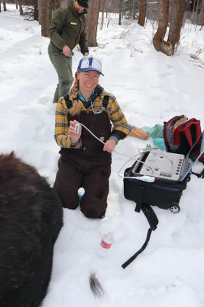 Morbidity and Mortality Investigation Along with Human-Moose ...