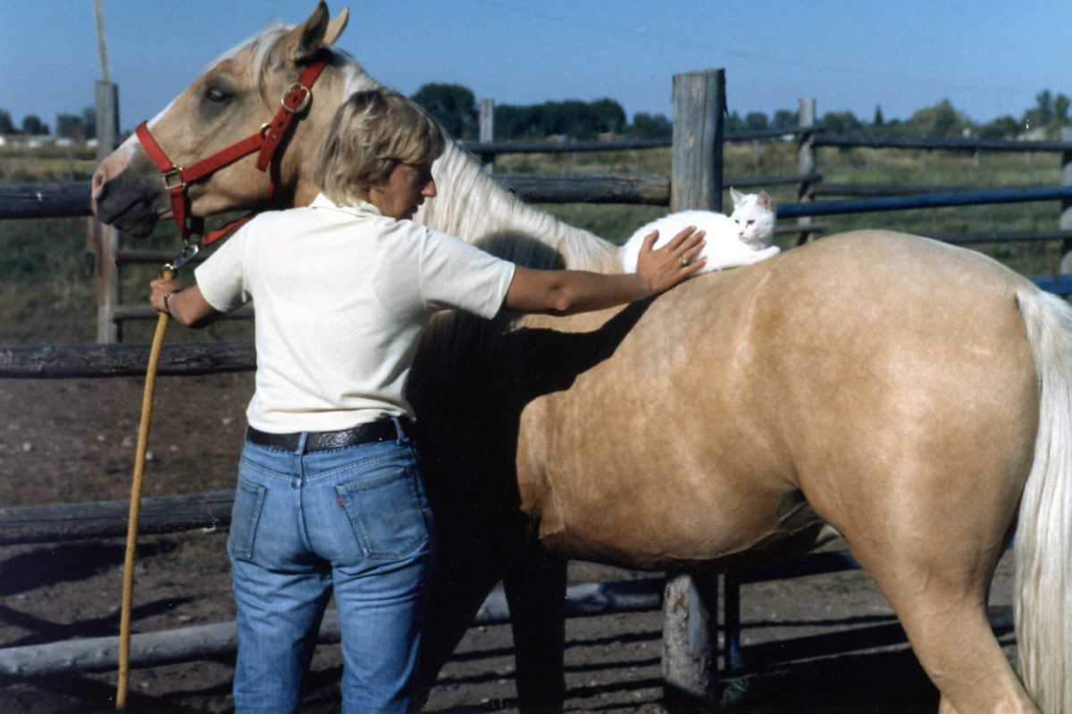 Tribute to Ruth Shea – Northern Rockies Conservation Cooperative