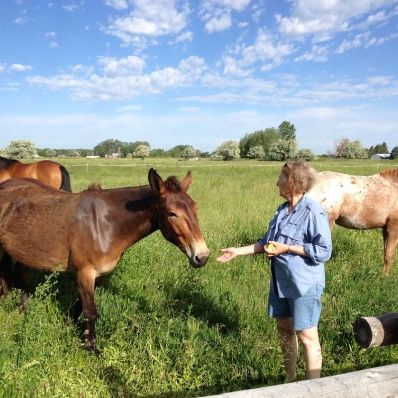 Tribute to Ruth Shea – Northern Rockies Conservation Cooperative